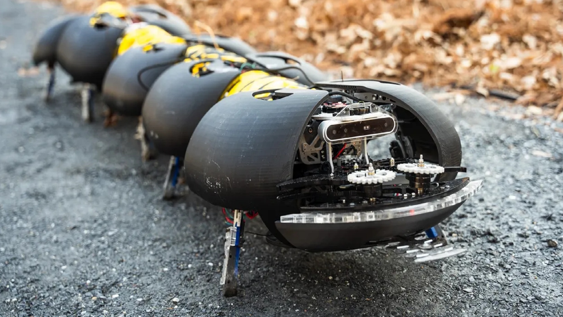 Low-cost centipede robots tackle vineyard weeds, one leg at a time