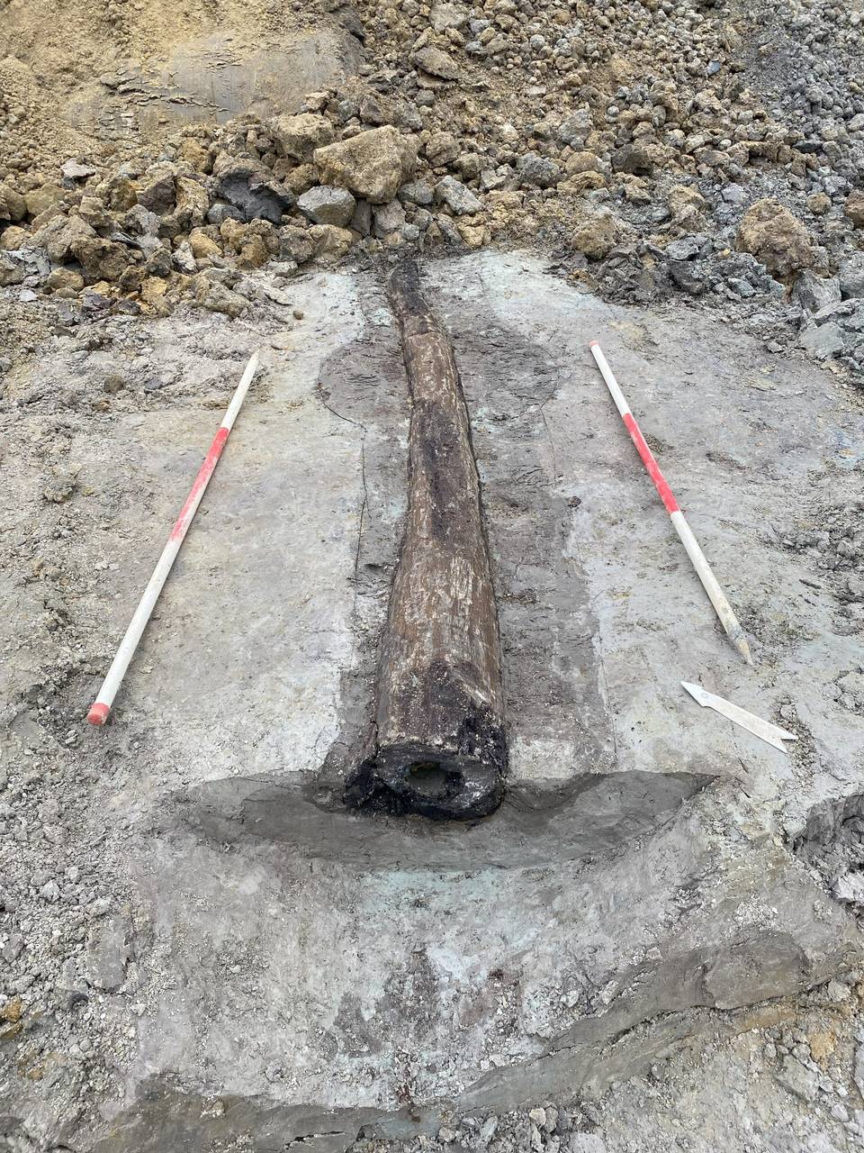 1,700-year-old exceptional Roman wooden water pipe found in Belgium