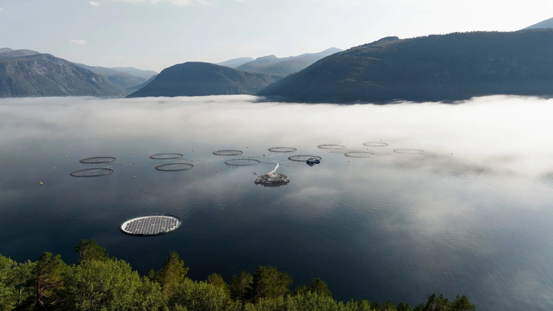 90% diesel cut drives Norway fish farm to scale floating solar energy