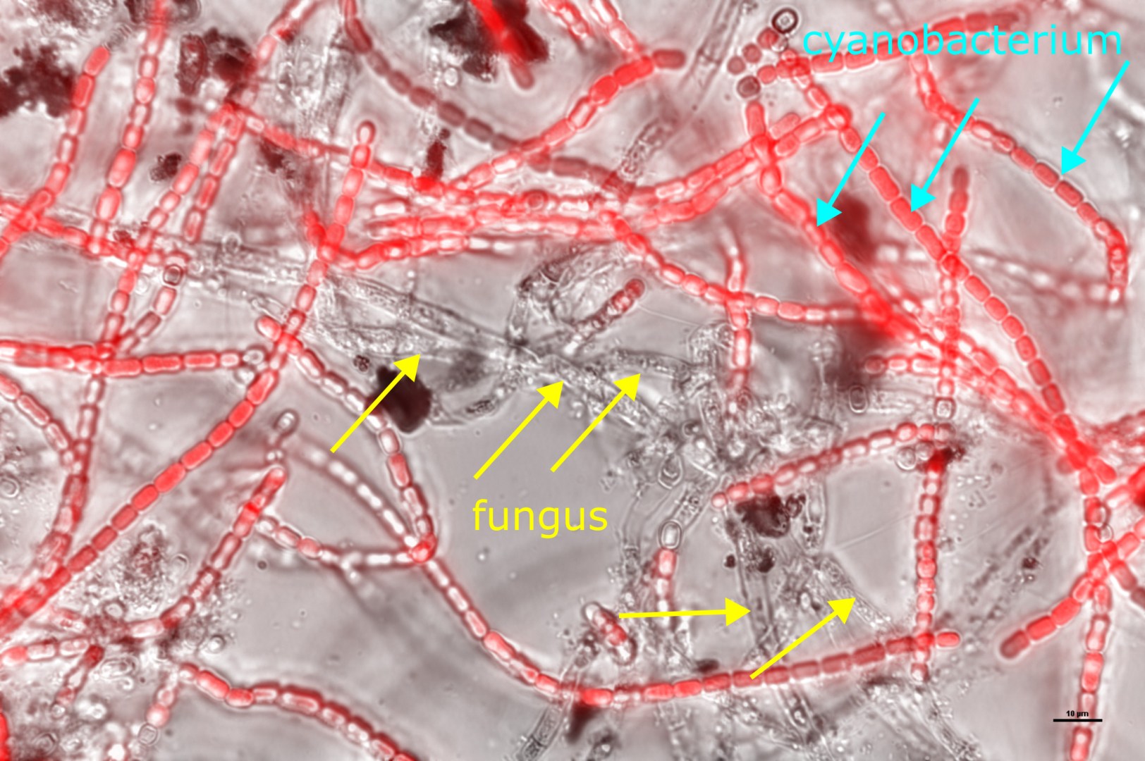 Tiffany straton porno this lady has spent time in around