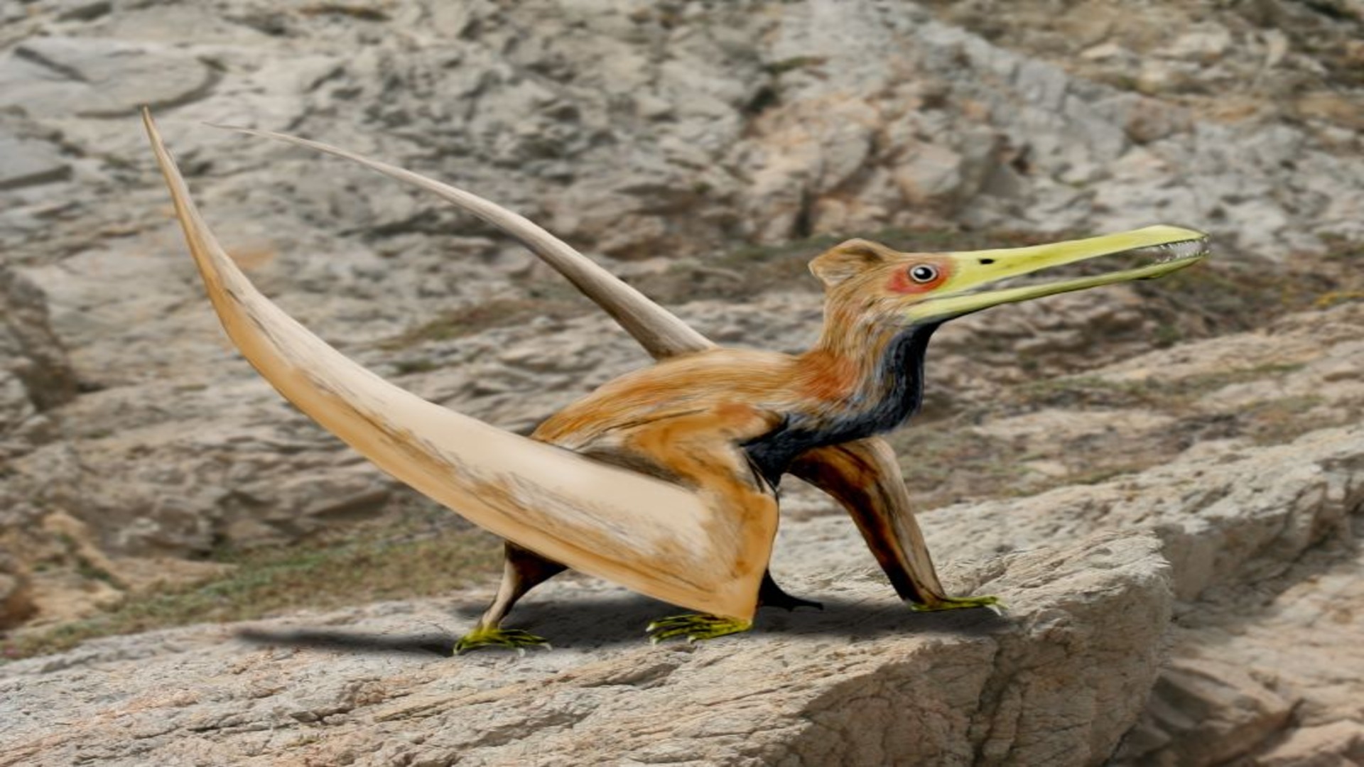 A 90-million-year-old fossil just gave Japan its first pterosaur