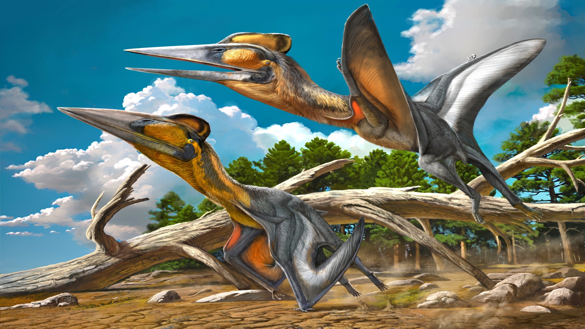 A 90-million-year-old fossil just gave Japan its first pterosaur