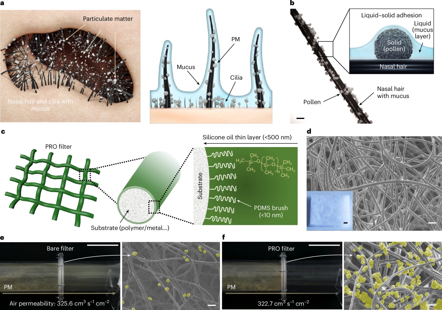 Nasal mucus-inspired air filter lasts longer and traps more dust