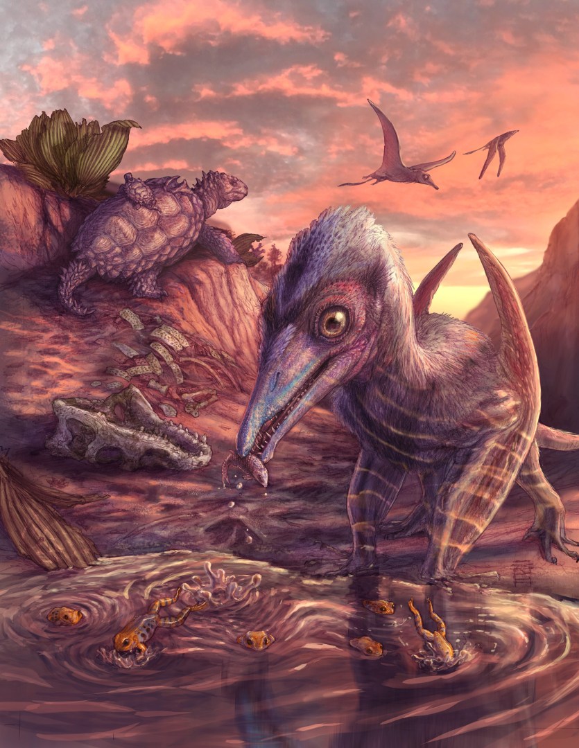 US scientists reveal oldest pterosaur that flew alongside dinosaurs