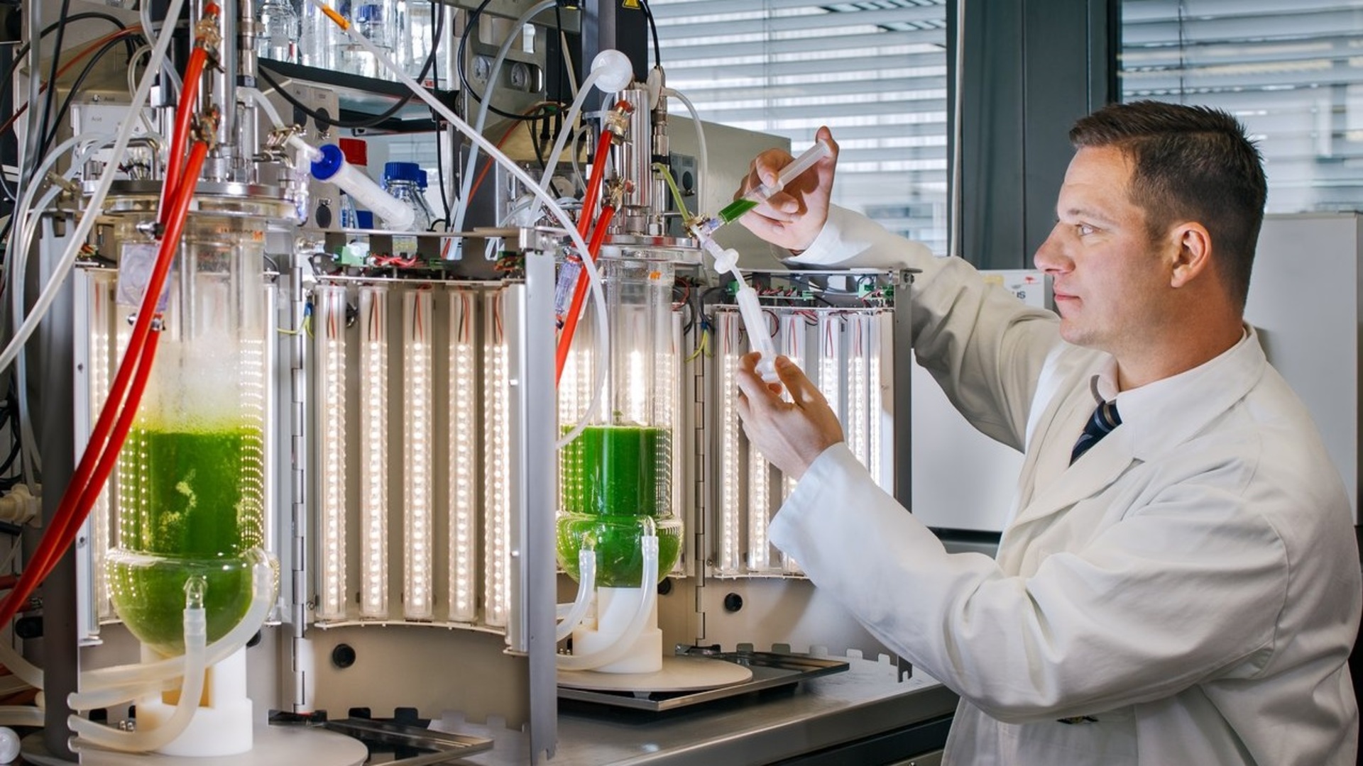 TUM's Thomas Brück on turning algae into carbon capture solutions