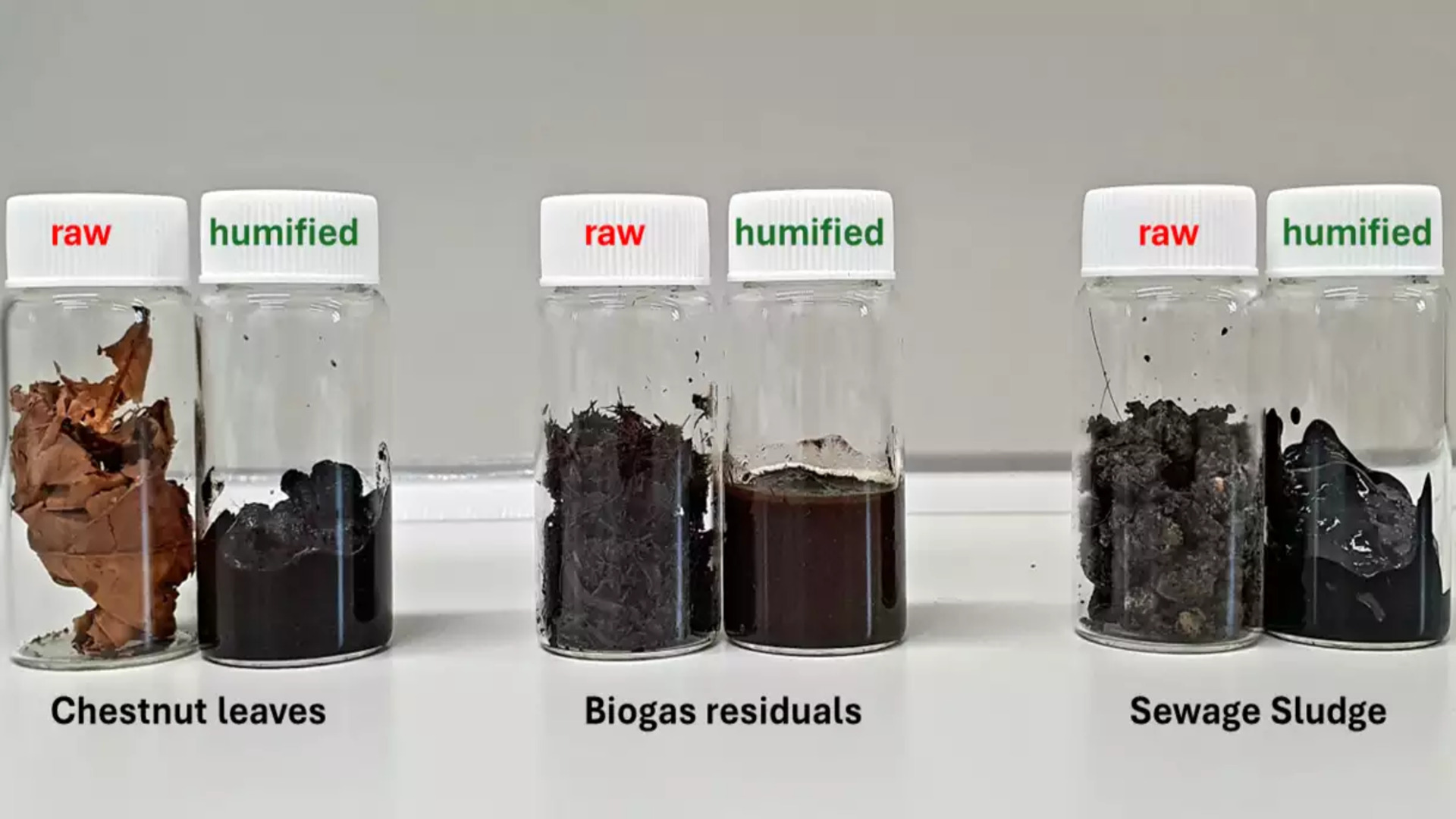 Germany pressure-cooks waste to trap 50 tons of CO2 per hectare