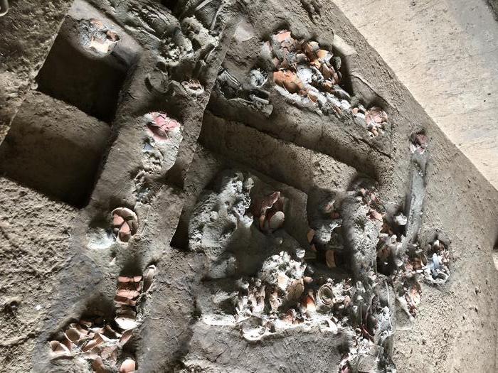 Ancient dental plaque reveals betel nut chewing habit in Thailand