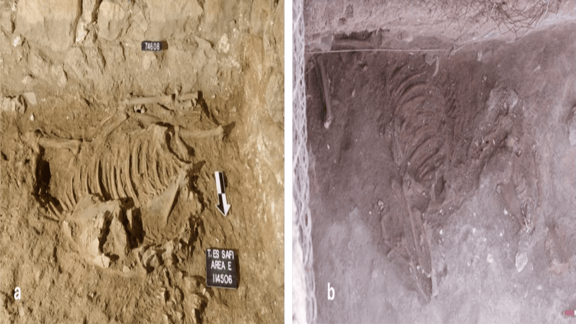 Undian viral sex videos guys, this girl happens to be the