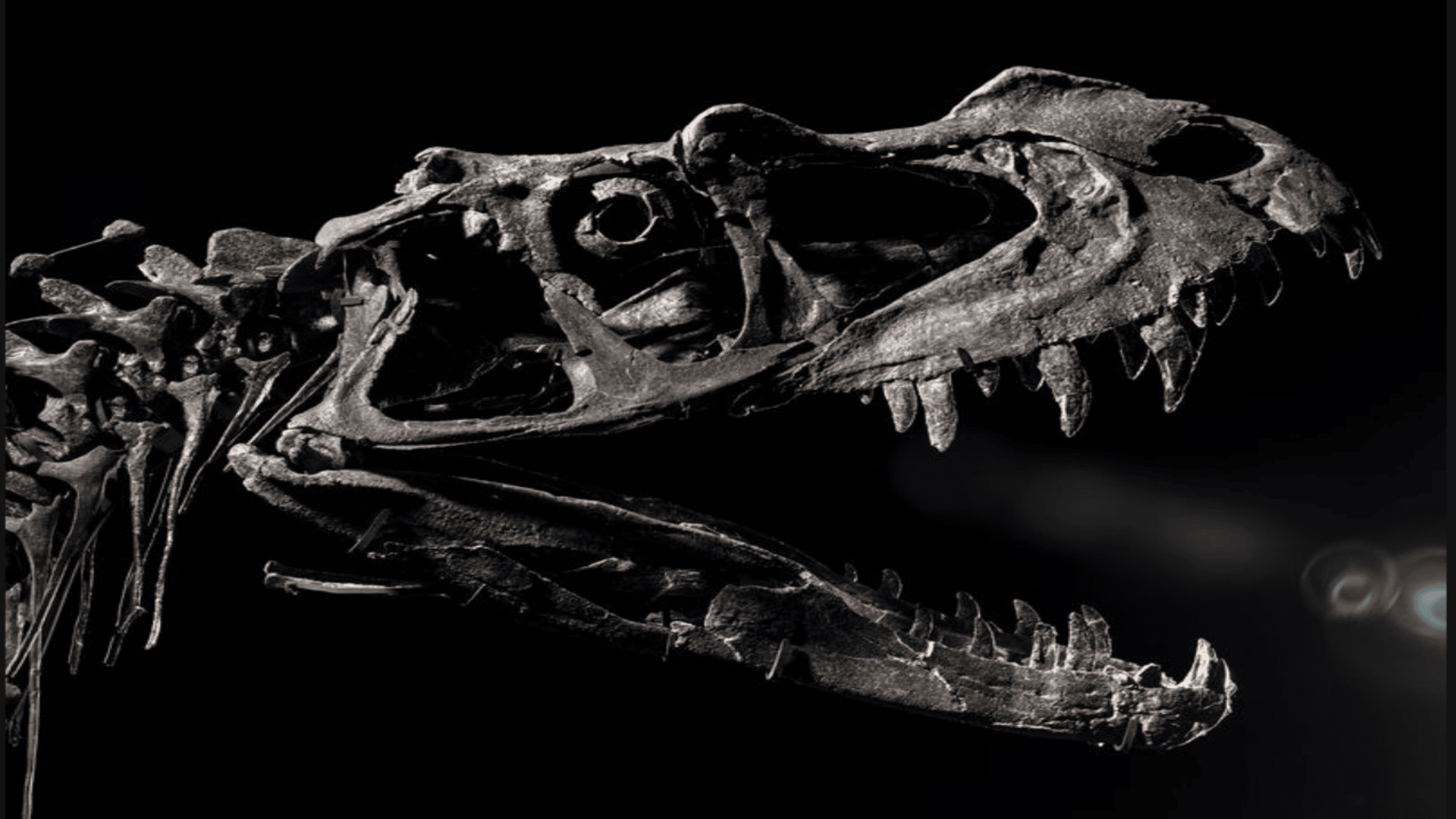 Maryelee24 live the offering has experienced refined over