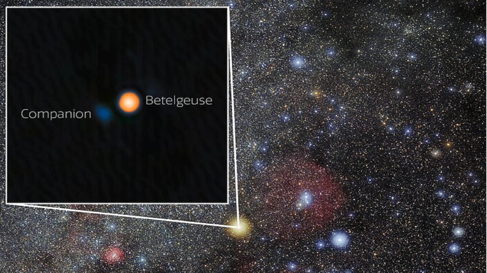 Hidden companion star spotted orbiting red supergiant Betelgeuse