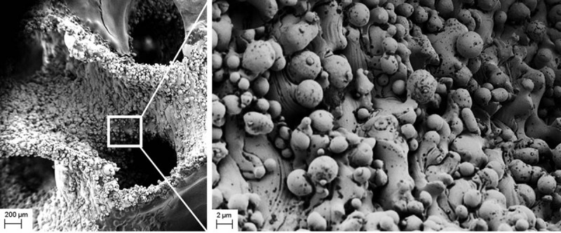 3D-printed steel bacteria battery hits record-breaking energy output