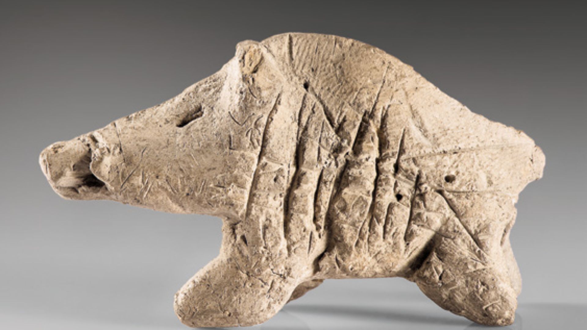 @zeliaorient only fans she’s very easy to talk to and she