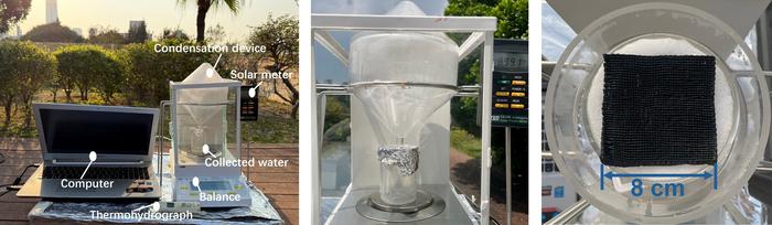 Sun-powered sponge turns saltwater fresh, no electricity needed