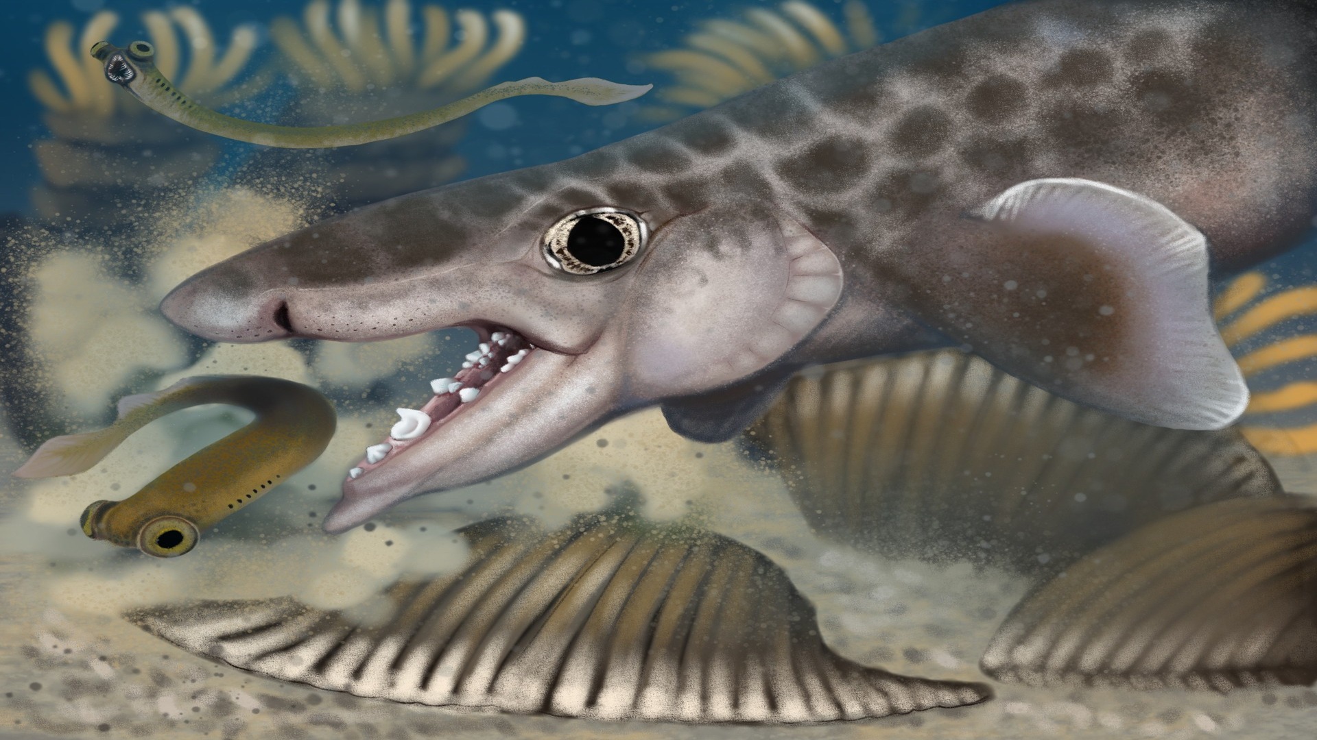 340 million-year-old tiny shark found in world’s longest cave system
