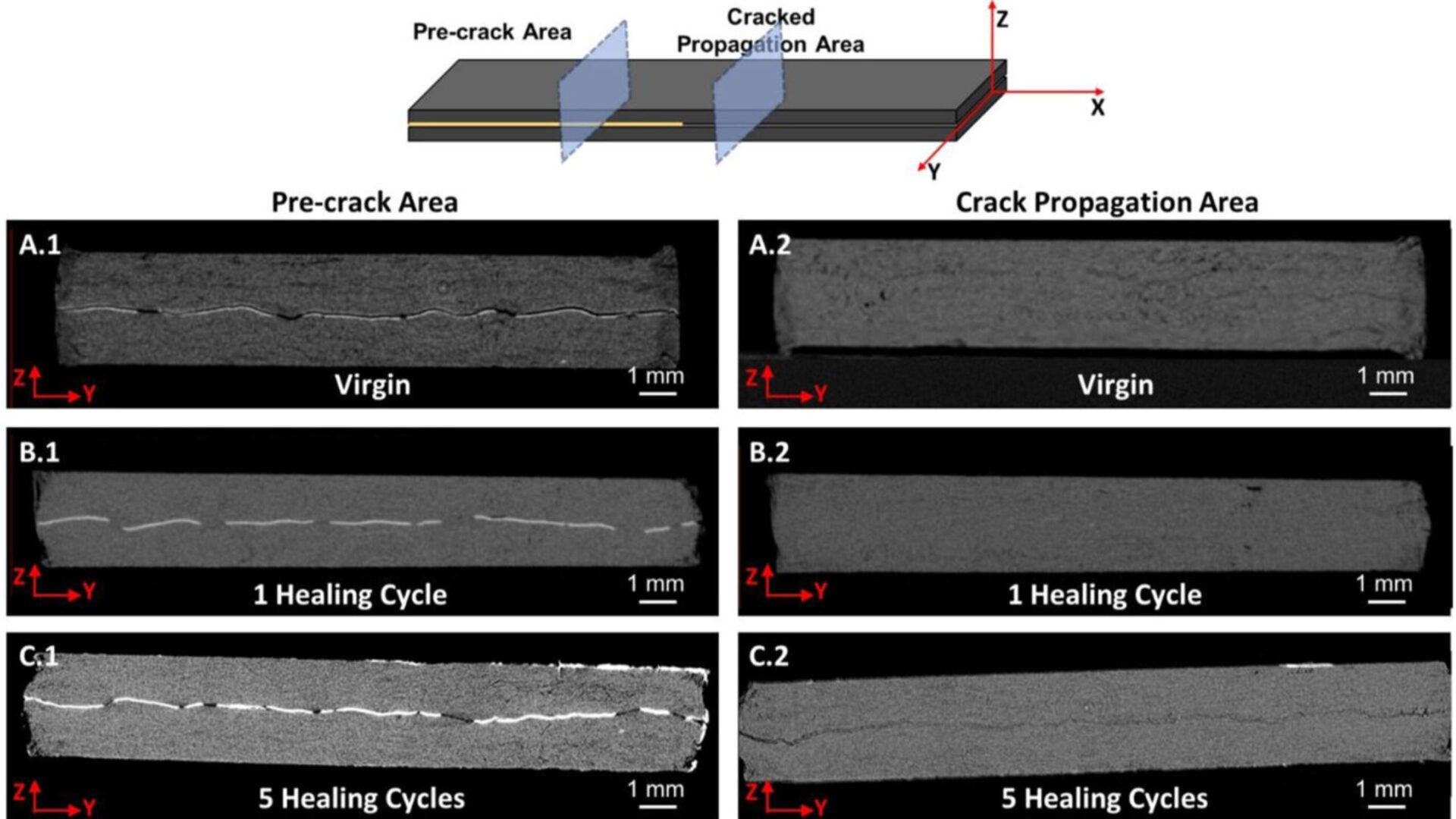 New self-healing plastic outperforms steel in strength tests
