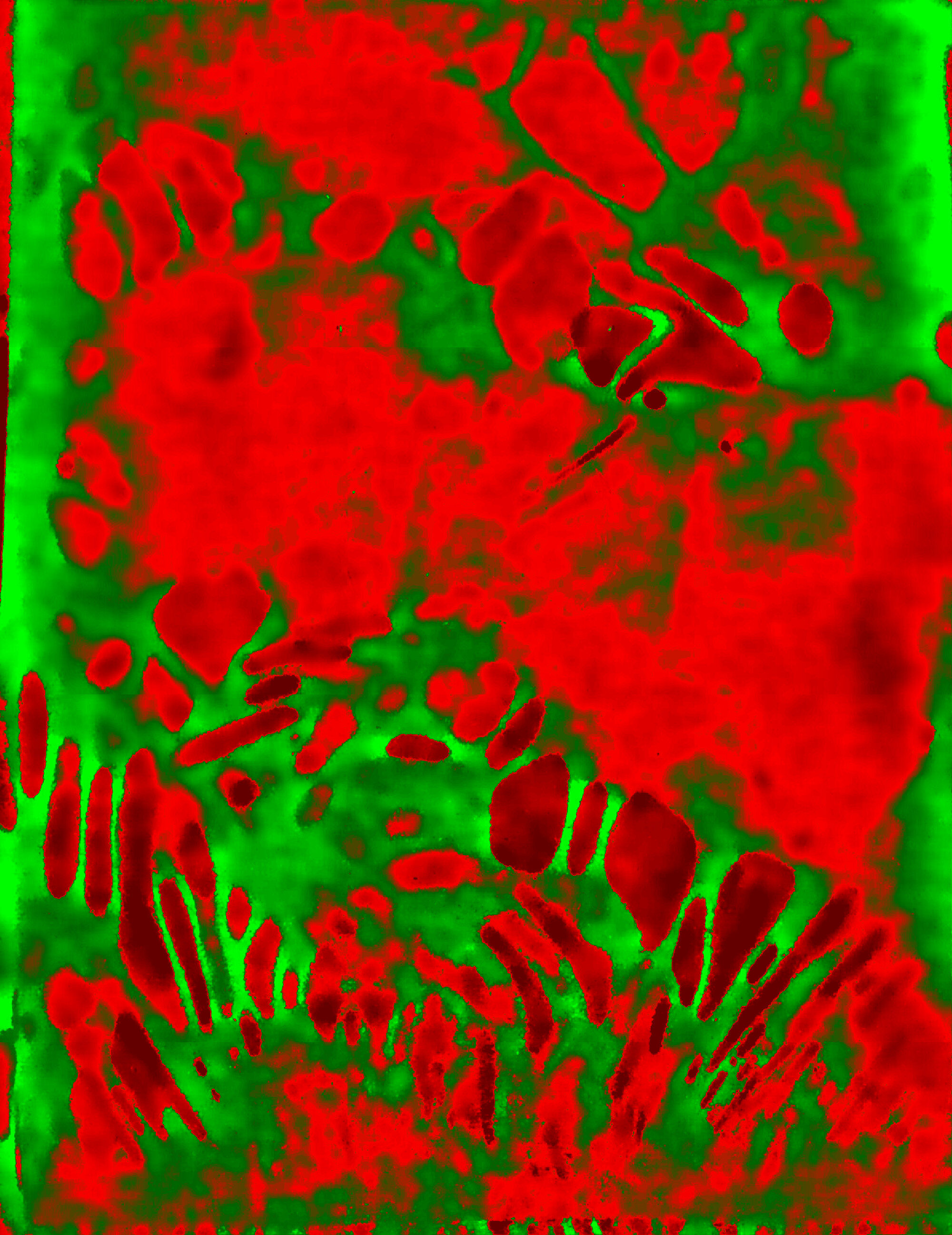 Real-time imaging shows electrolyte flow in lithium-sulfur batteries