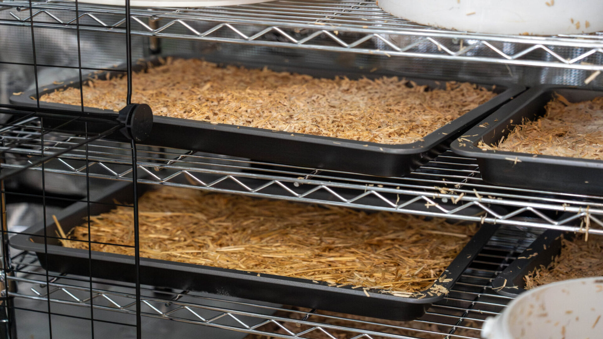 Fungi-based insulation boards tested in Germany absorb CO2, block mold