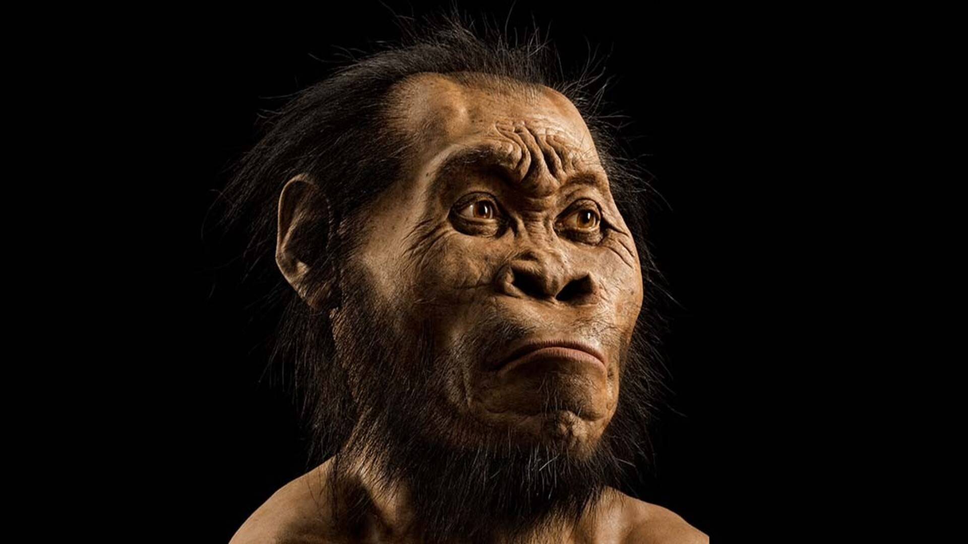 Extinct human relative practiced cultural burials 120,000 years ago