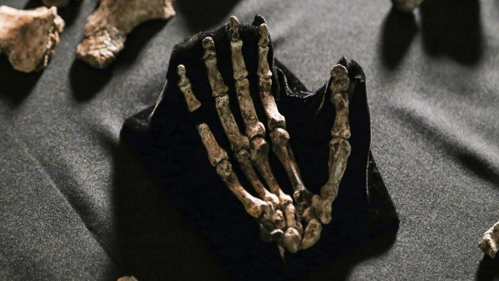 Extinct human relative practiced cultural burials 120,000 years ago