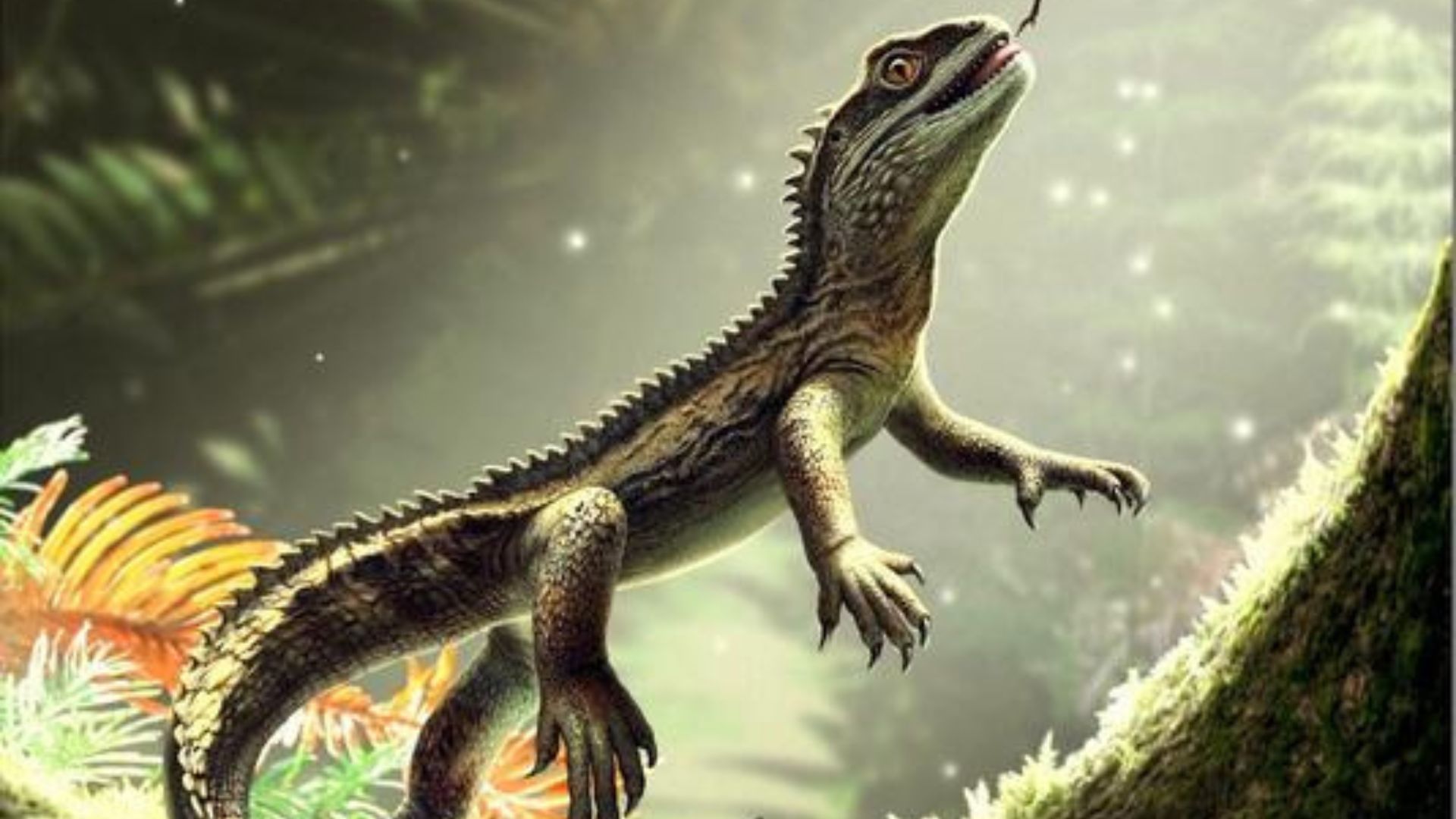 242-million-year-old lizard with 'spectacularly large teeth' found