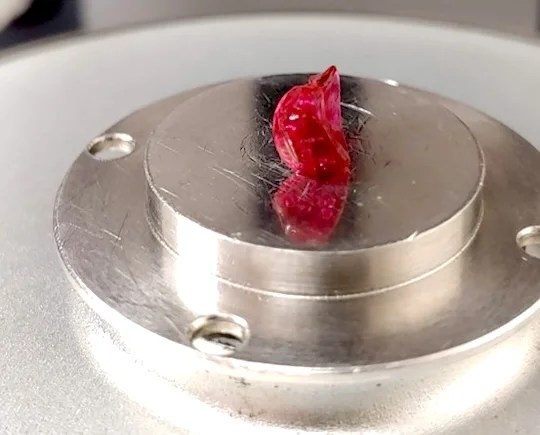 Sticky hydrogel slows drug release 20x, extends treatment span