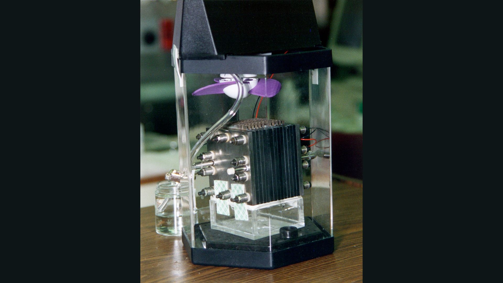 Lizard-inspired flow field plates improve hydrogen fuel cell power density