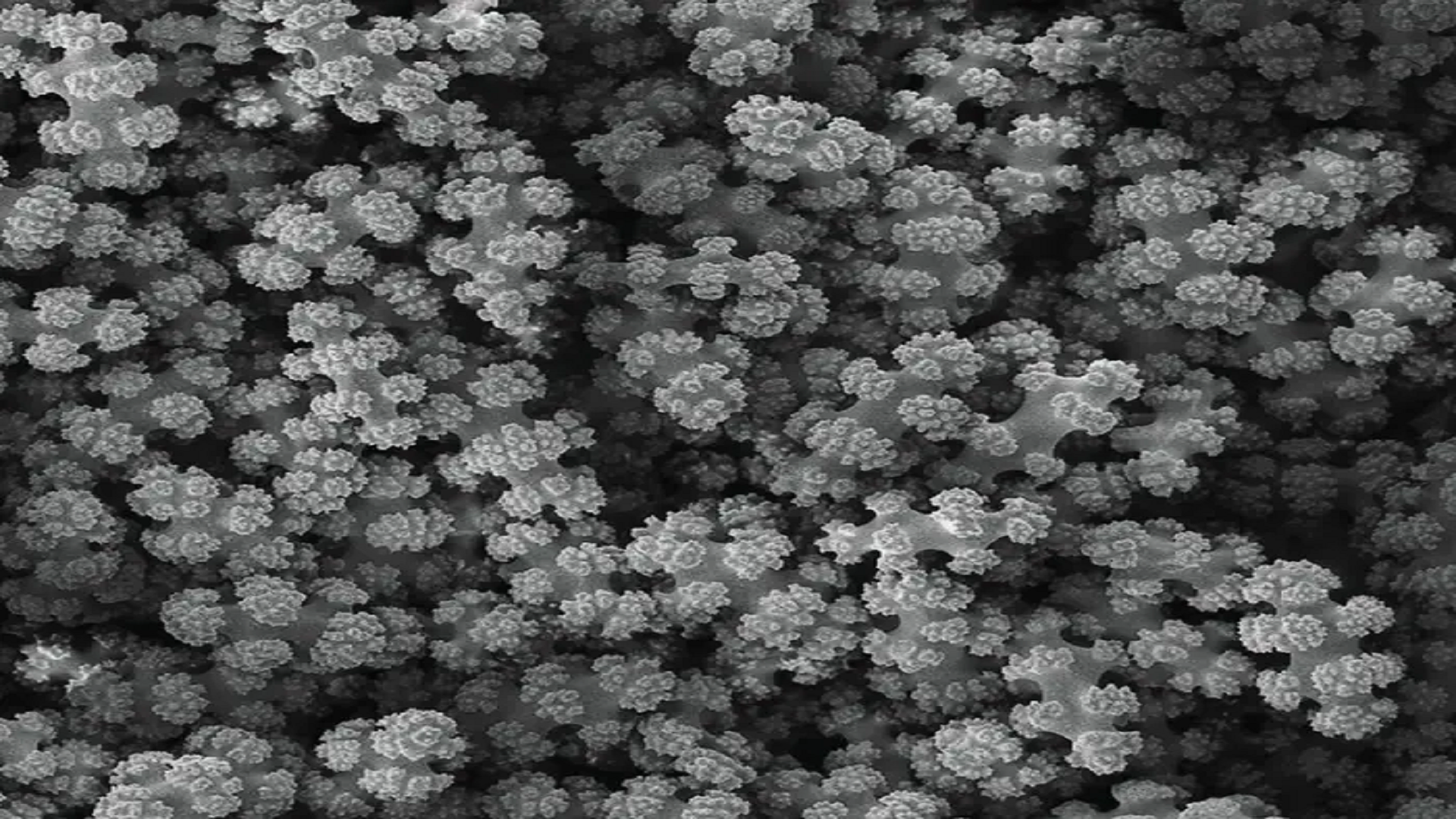 Shape-shifting coral that stiffens in seconds to transform robotics