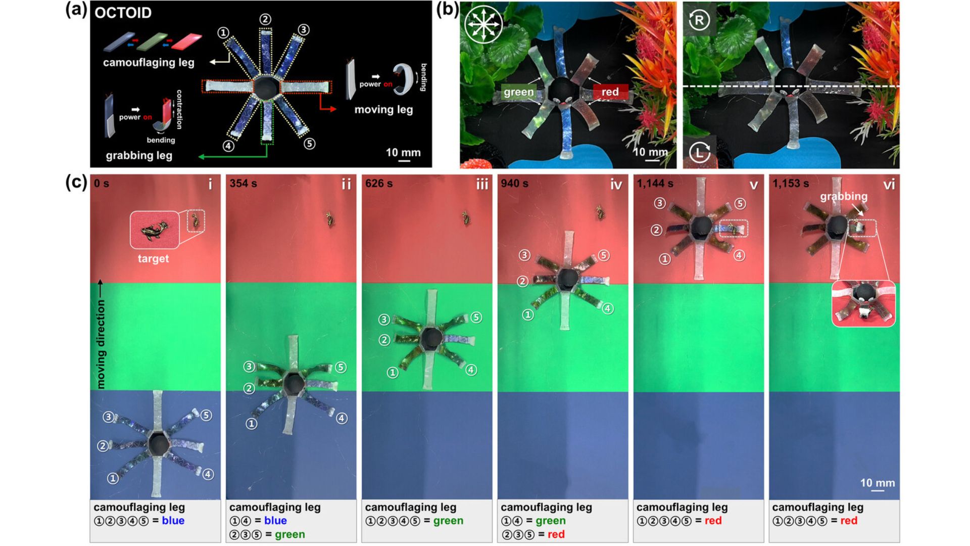 New octopus-inspired robot can move, hide, and lift 30x its weight