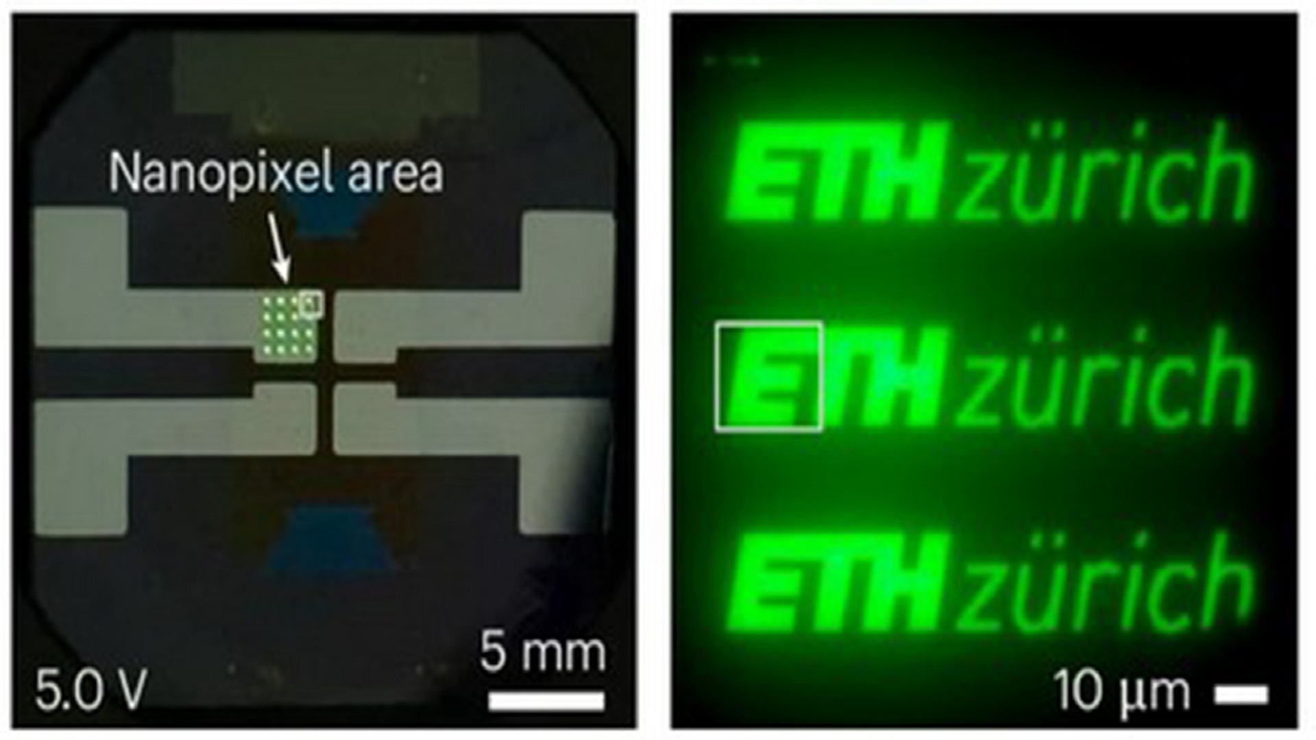 World’s tiniest light diodes shrink 100 times smaller than a human cell