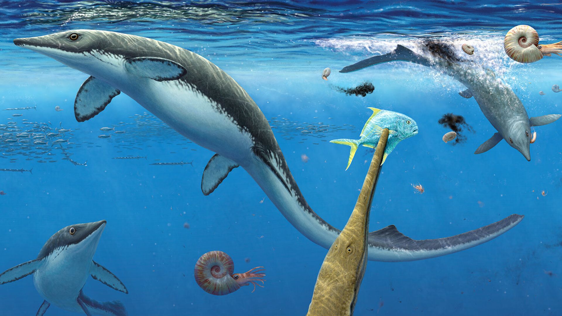 Fossils reveal marine life returned 3 million years after mass die-off