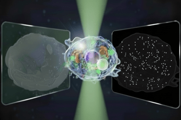 New dual-light microscope offers 14x wider micro and nano imaging