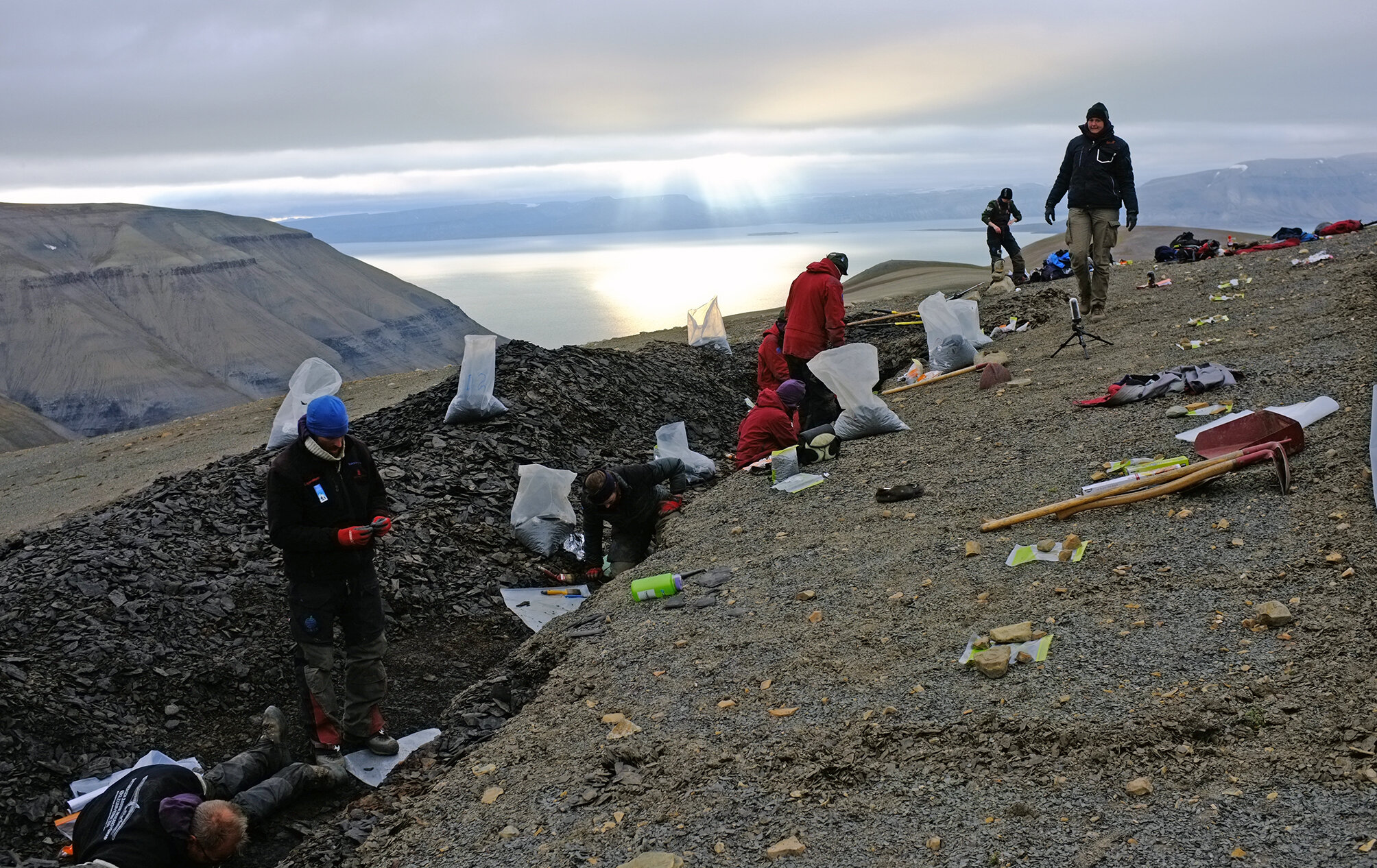 Fossils reveal marine life returned 3 million years after mass die-off