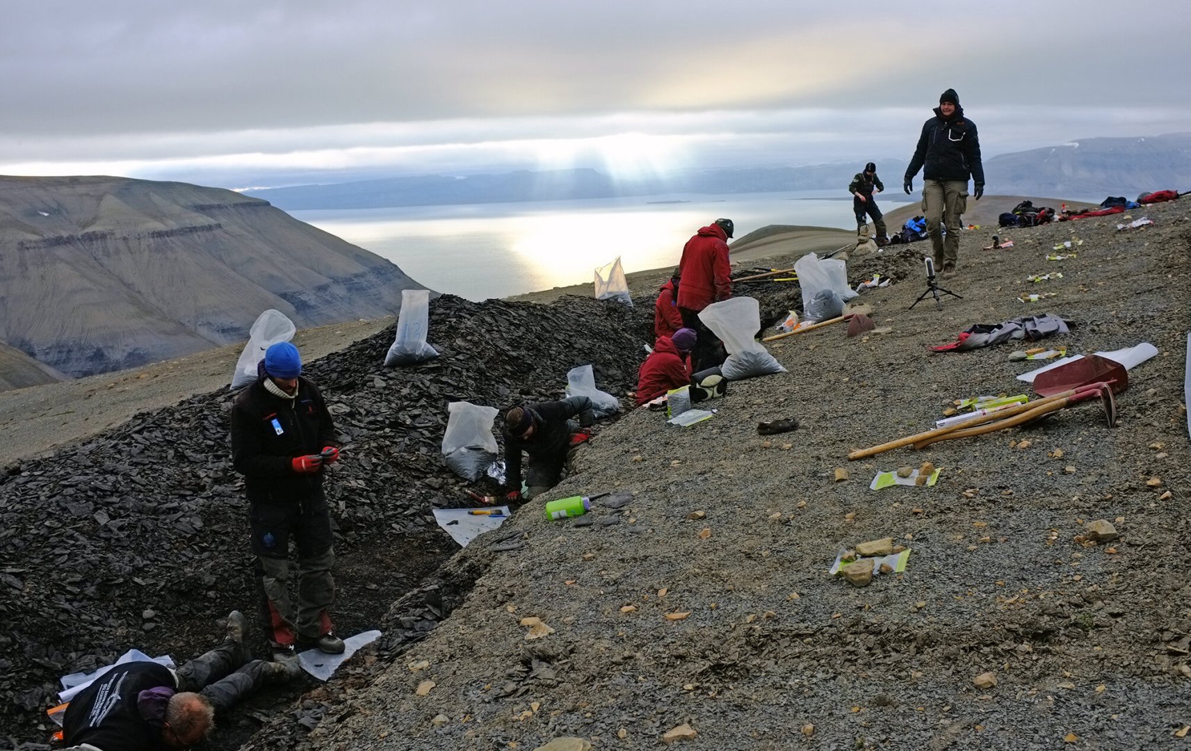 Fossils reveal marine life returned 3 million years after mass die-off