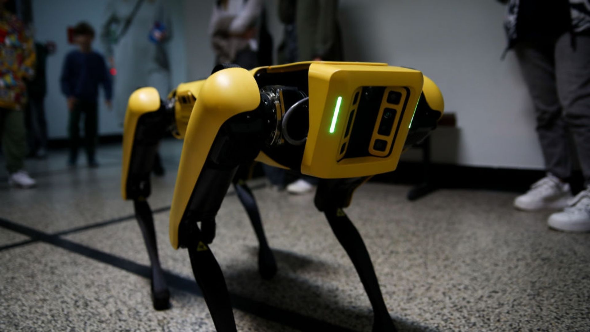 Top 10 smartest robot dogs in the world redefining technology