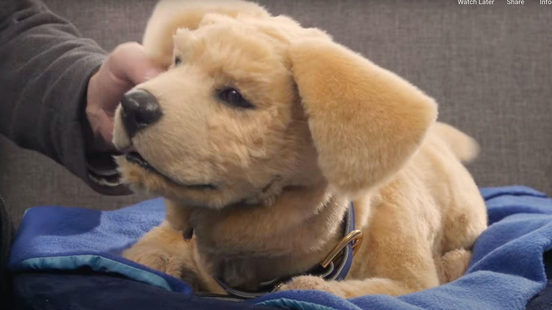 Top 10 smartest robot dogs in the world redefining technology