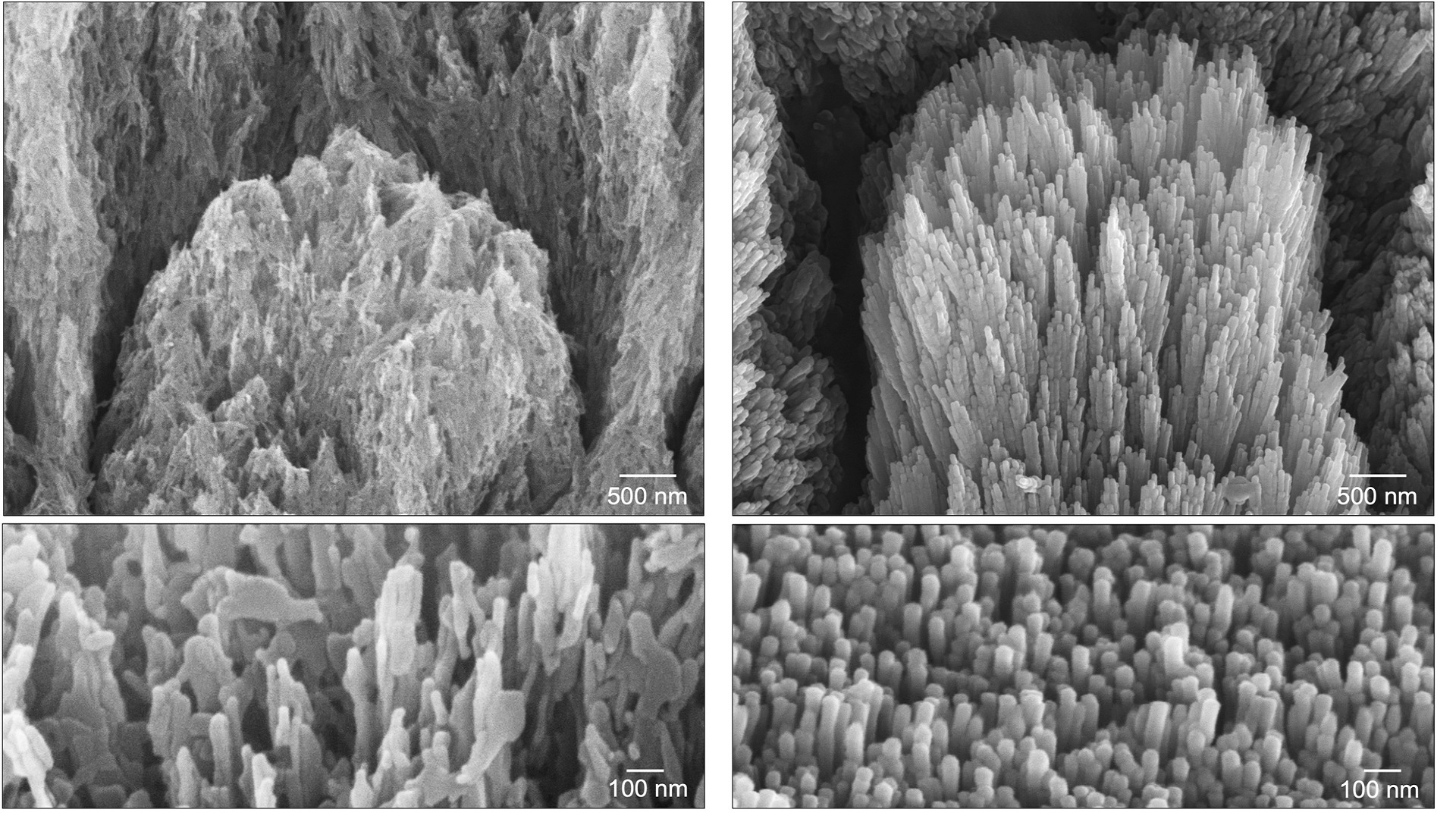 Scientists create gel that restores lost enamel within two weeks
