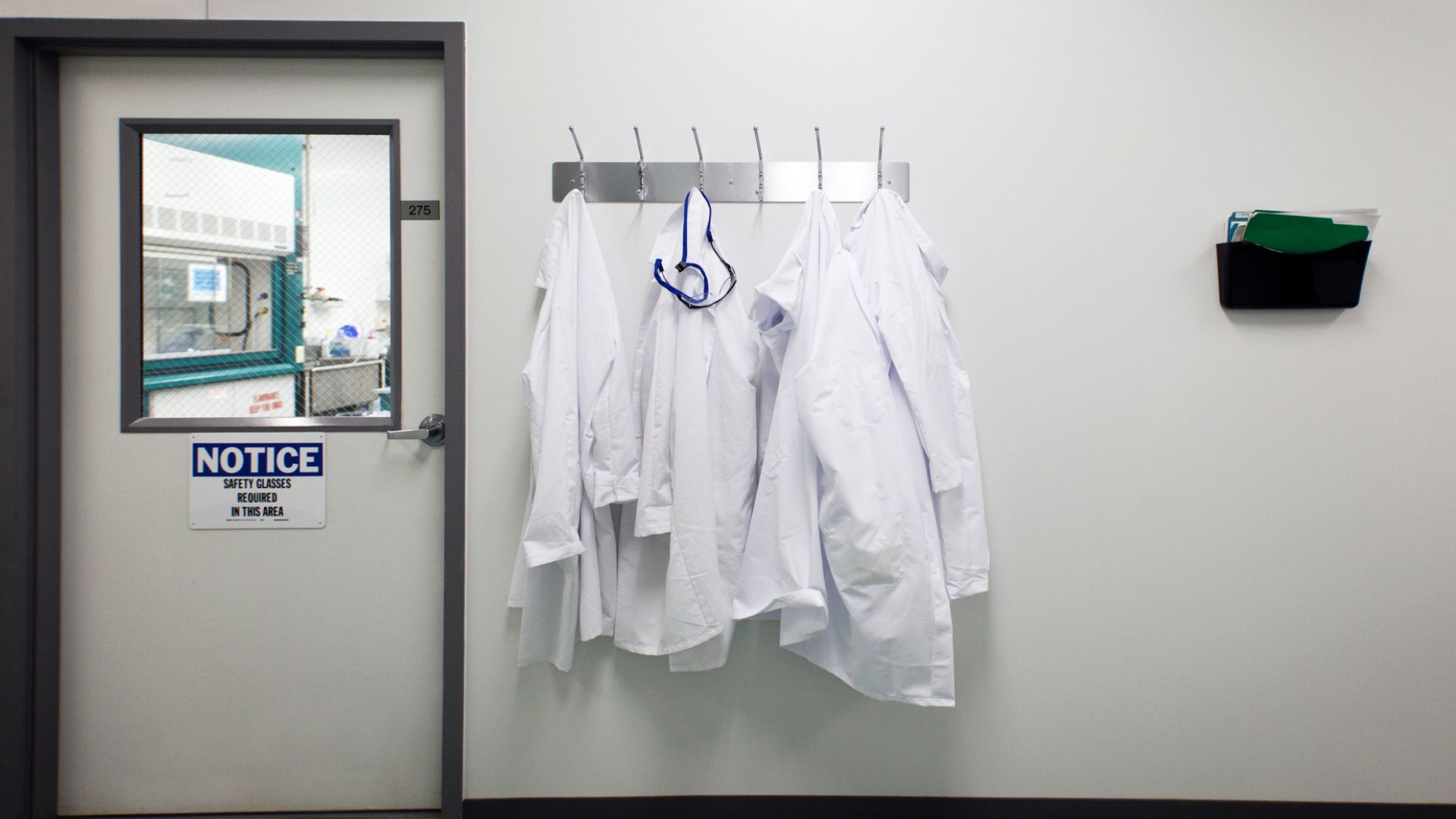 Why an increasing number of young Chinese scientists are dying