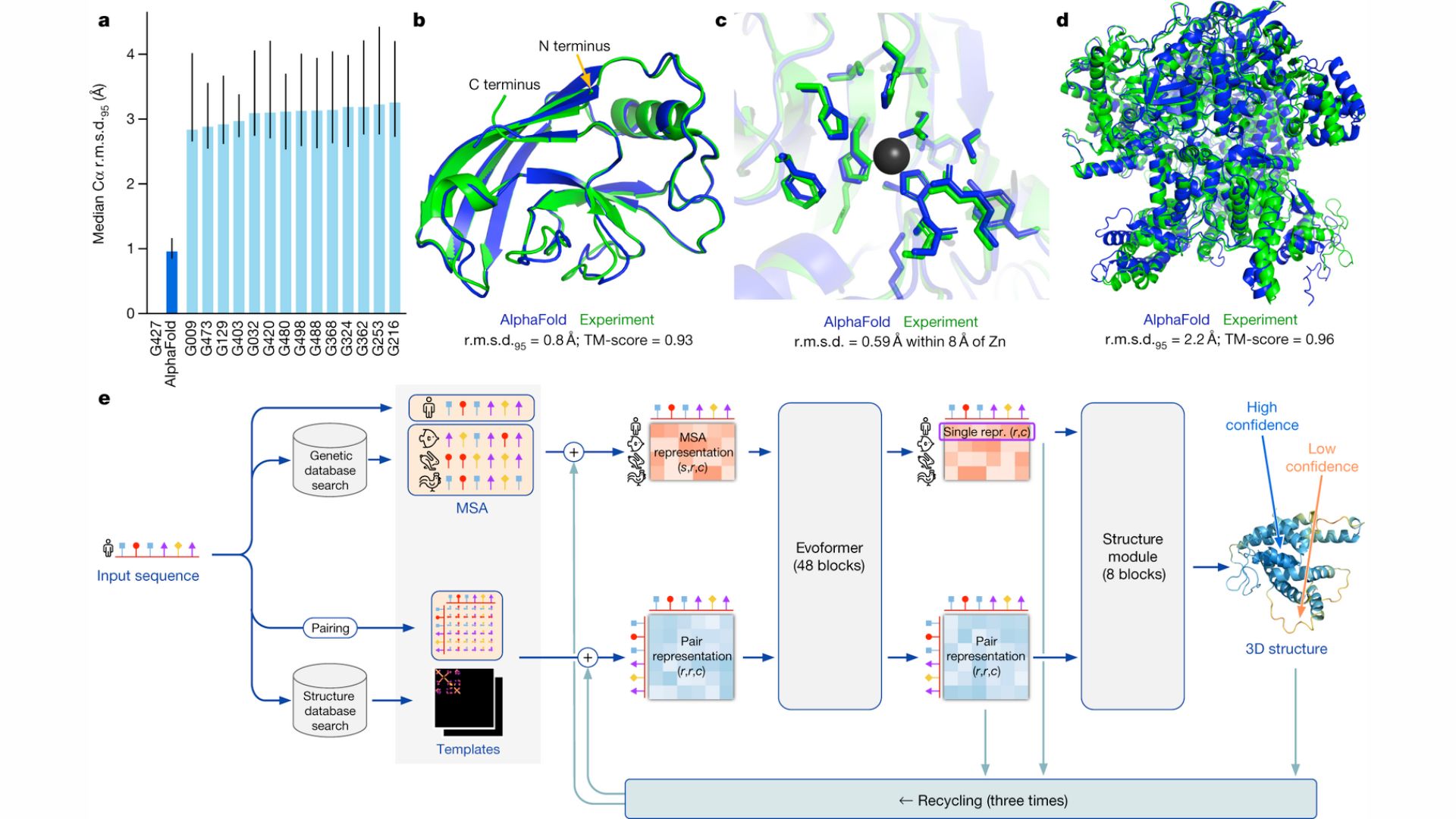 Inside AlphaFold and the engineering that solved protein folding