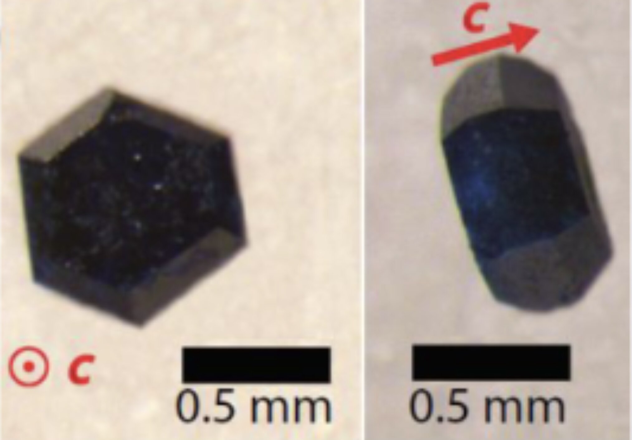 Hidden quantum spin liquid behavior confirmed in a new kagome crystal
