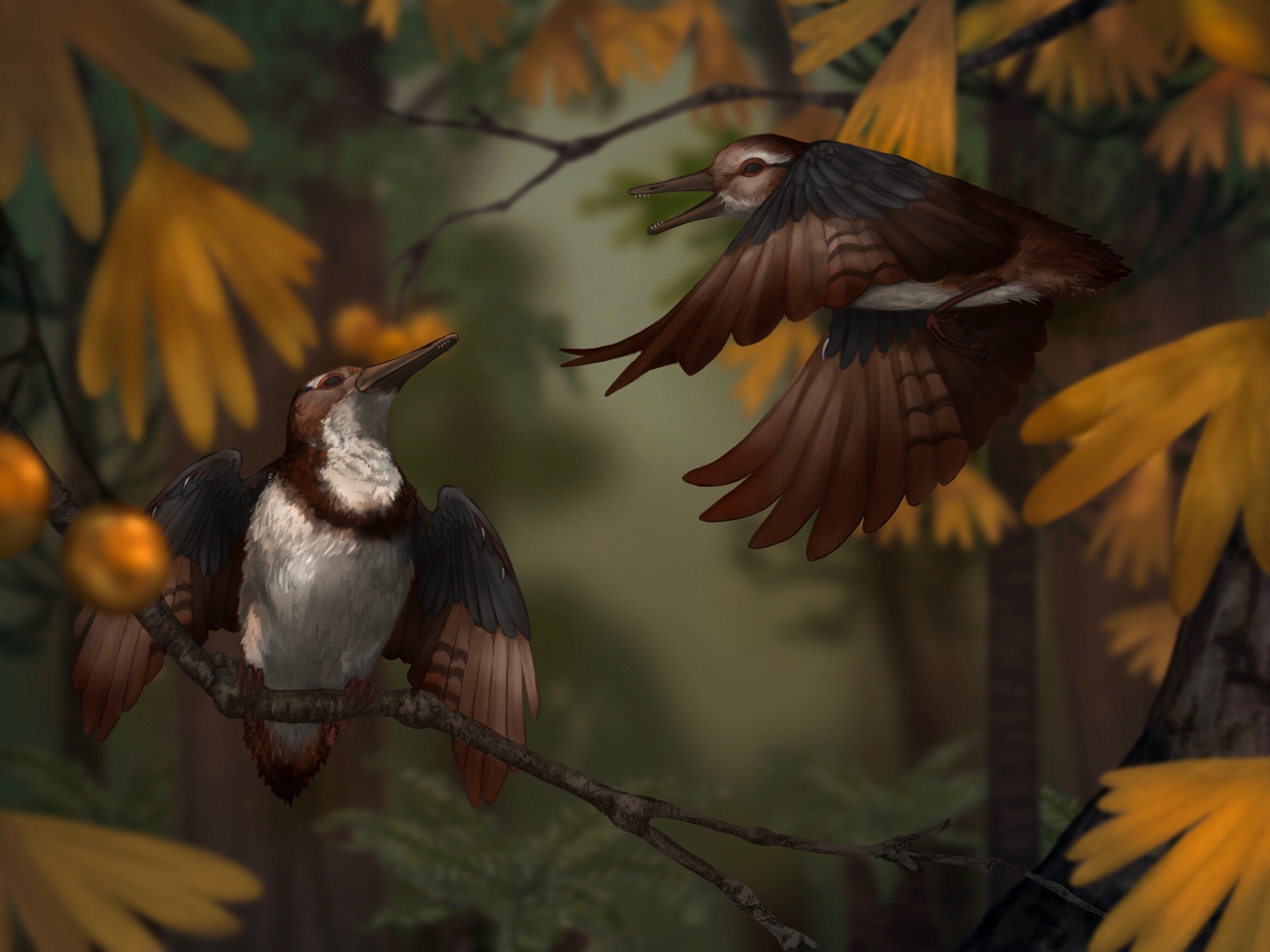 120 million-year-old bird died after gulping 800 stones, fossil reveals