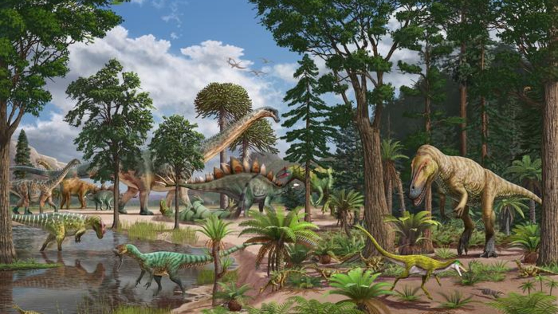 Late Jurassic-era dinosaur predators preyed on baby sauropods