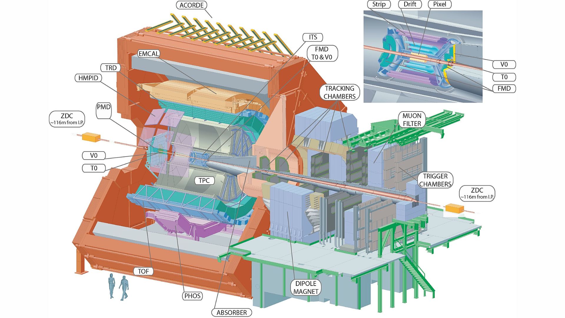 CERN's ALICE detector explains how light nuclei form in LHC collisions