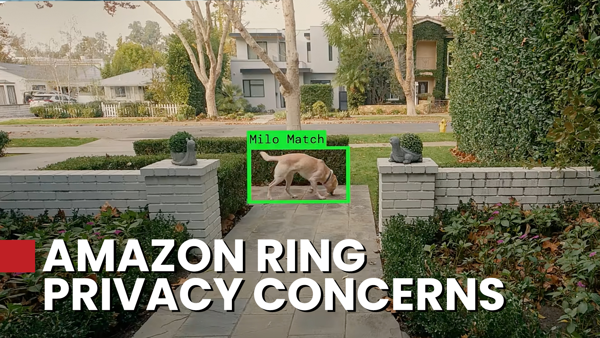Amazon Ring’s Super Bowl ad sparks surveillance debate