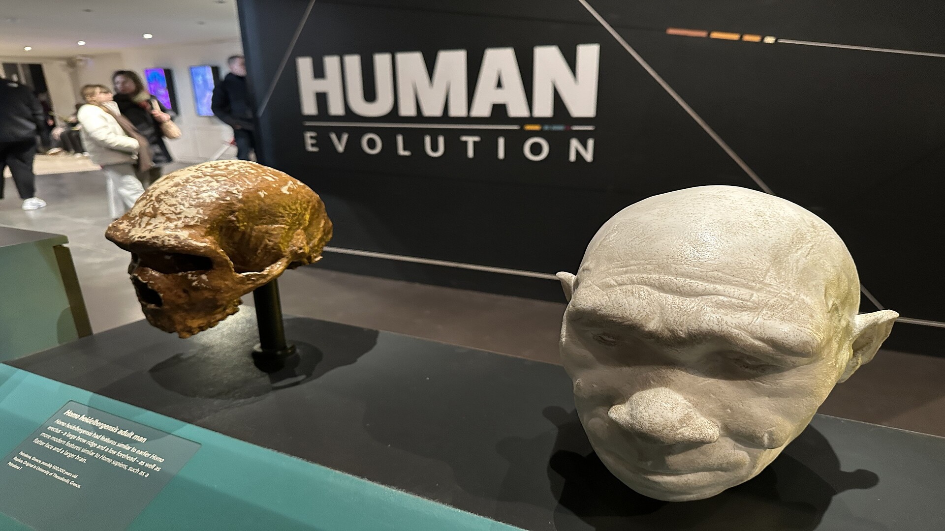 Human evolution wasn't sudden, unfolded gradually over time: Study
