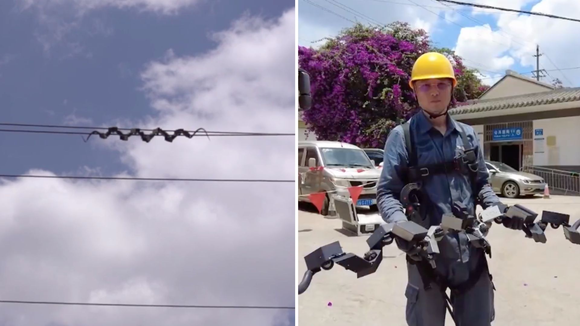 China deploys robotic snake inspectors to monitor power lines and ...