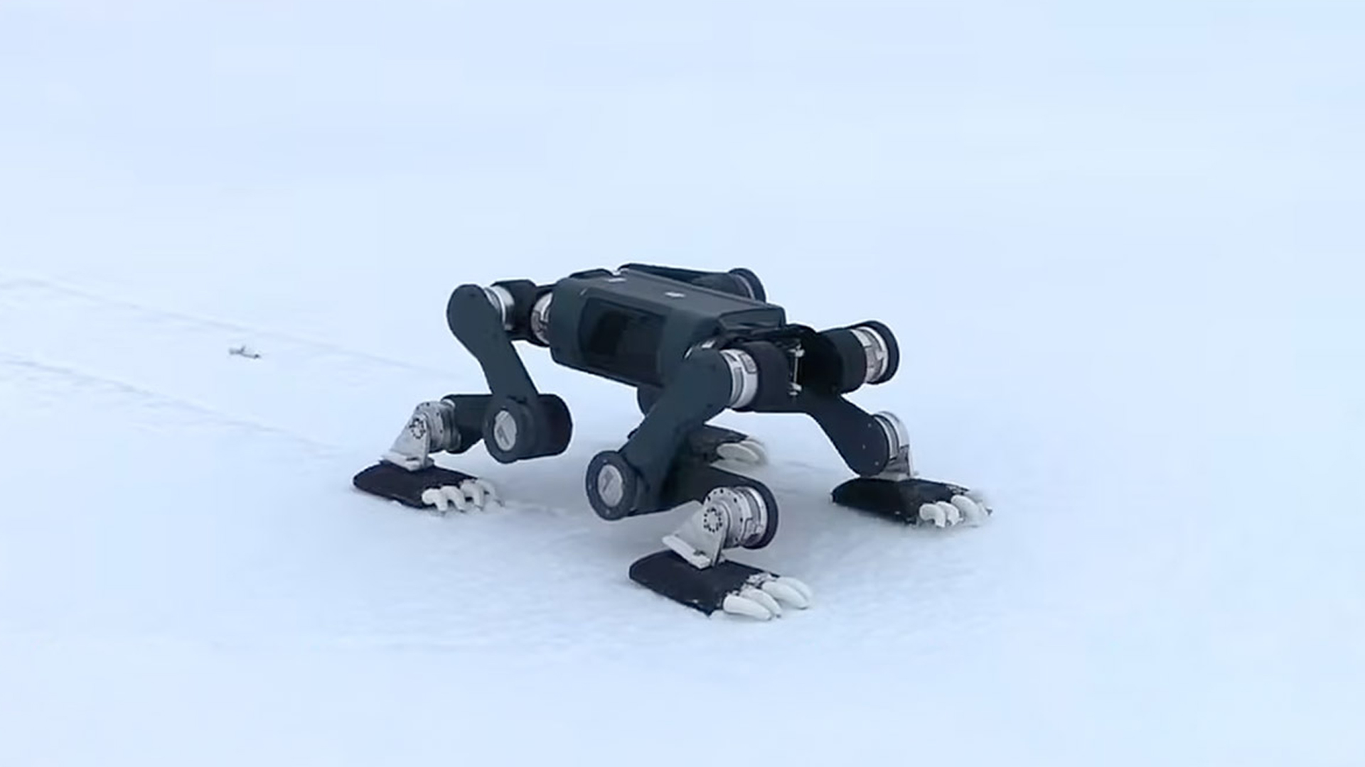 Lynx S10 becomes first four-legged robot to walk on Arctic ice floes